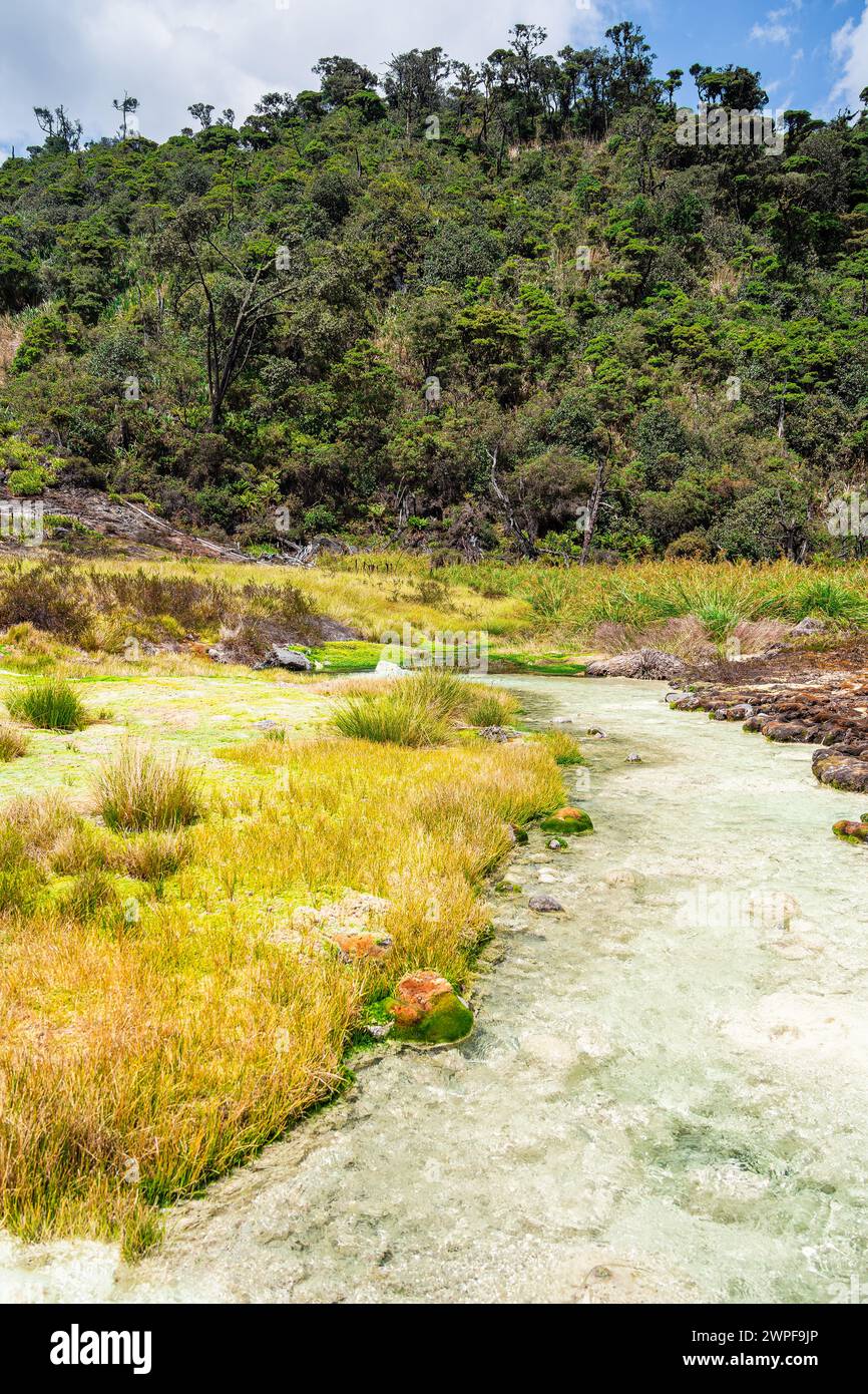 Puracé National Park, Cauca, Colombia Stock Photo - Alamy