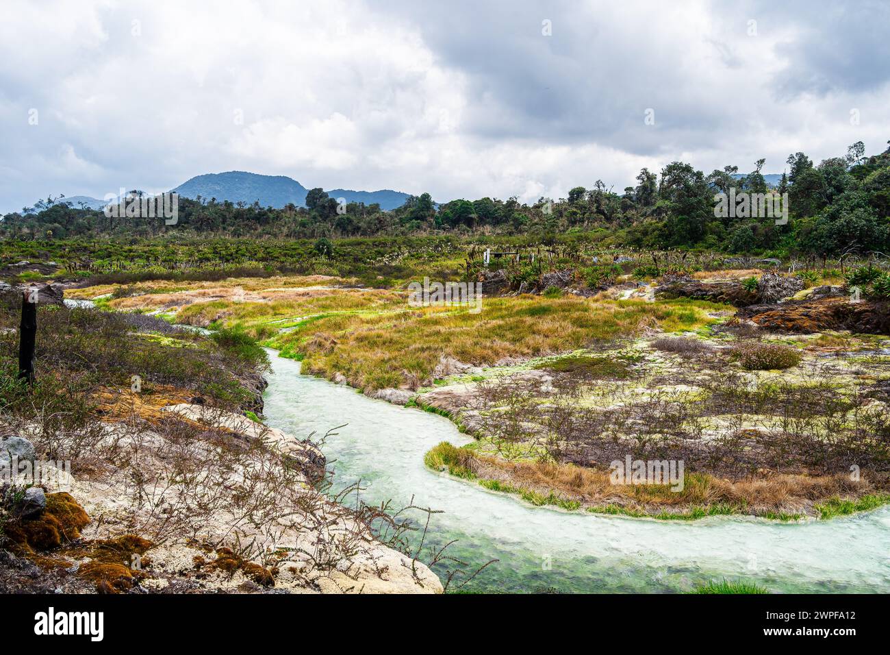 Puracé National Park, Cauca, Colombia Stock Photo - Alamy