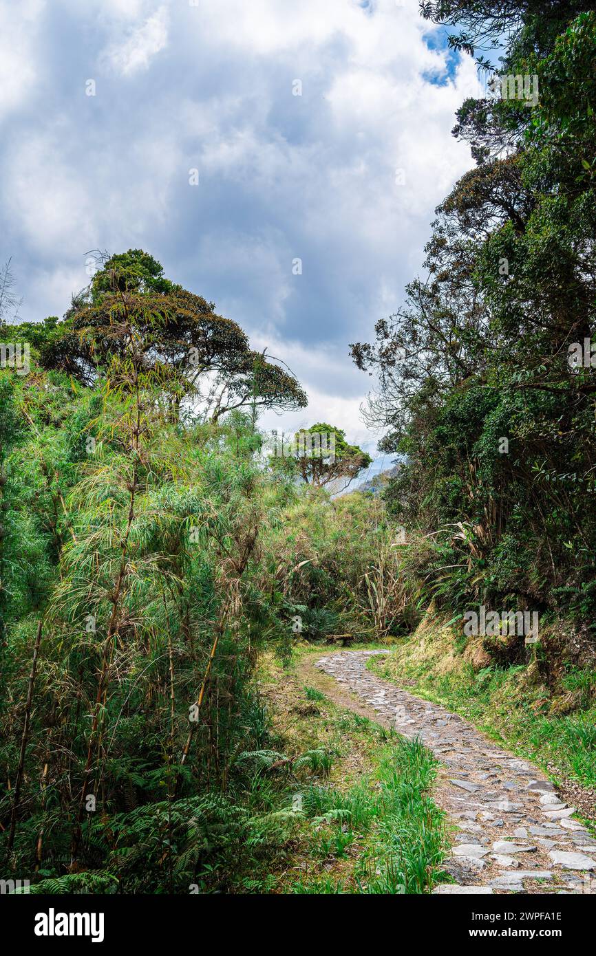 Puracé National Park, Cauca, Colombia Stock Photo - Alamy