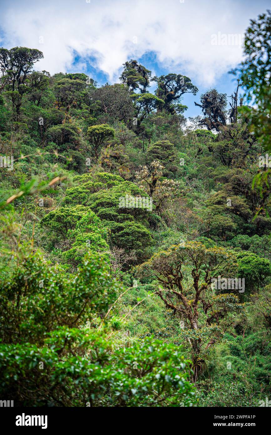 Puracé National Park, Cauca, Colombia Stock Photo - Alamy
