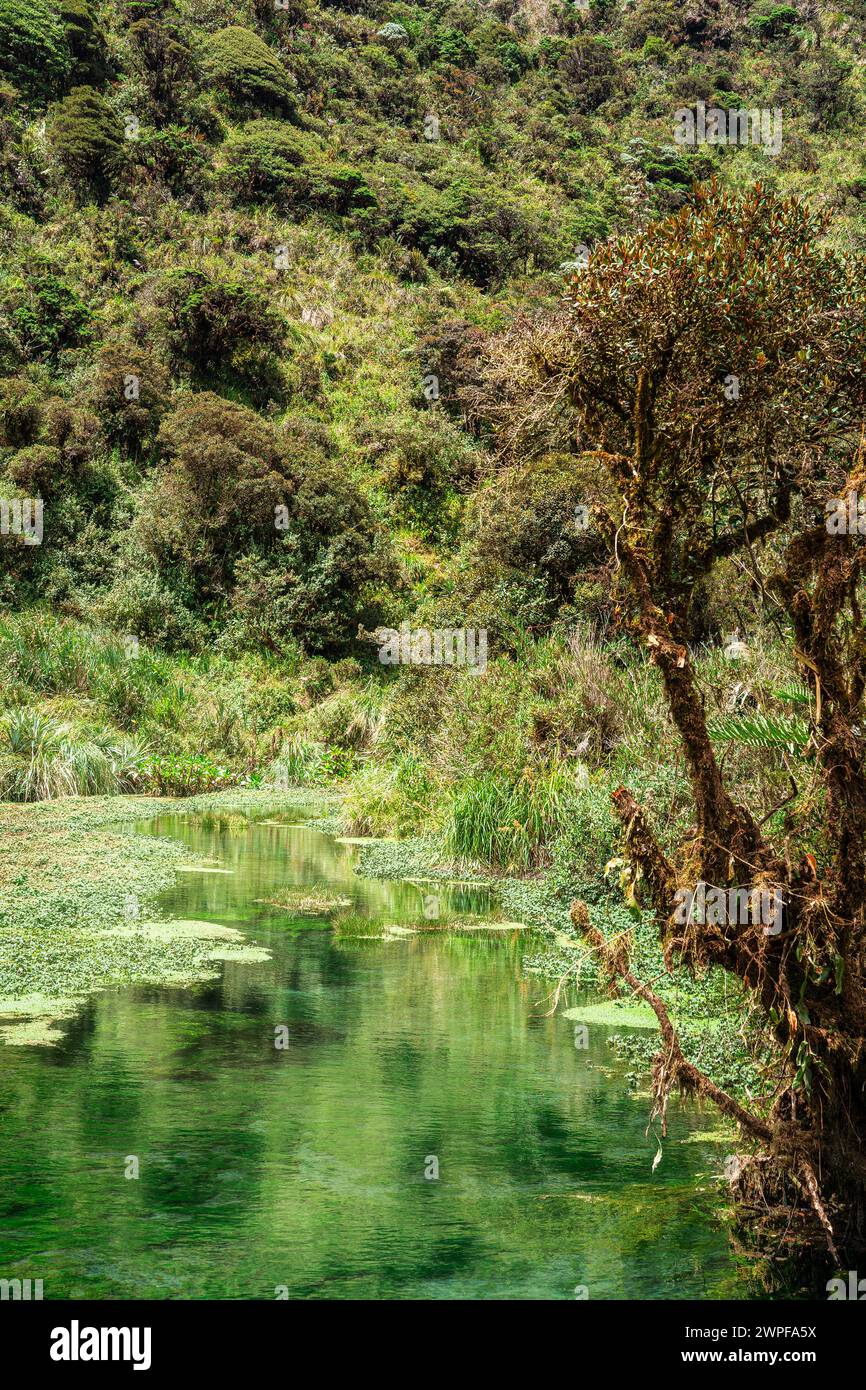 Puracé National Park, Cauca, Colombia Stock Photo - Alamy