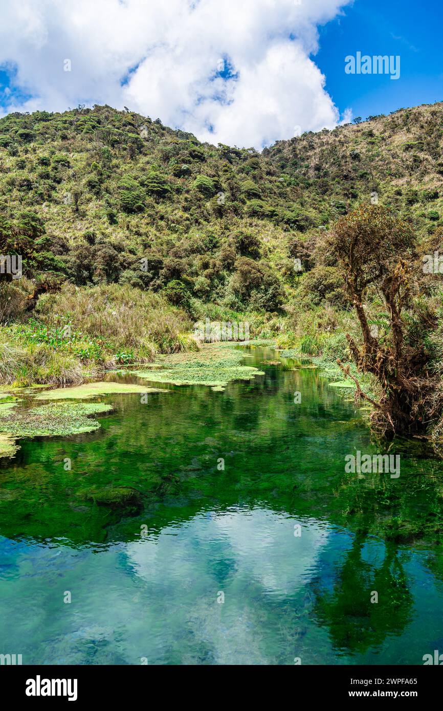 Puracé National Park, Cauca, Colombia Stock Photo - Alamy