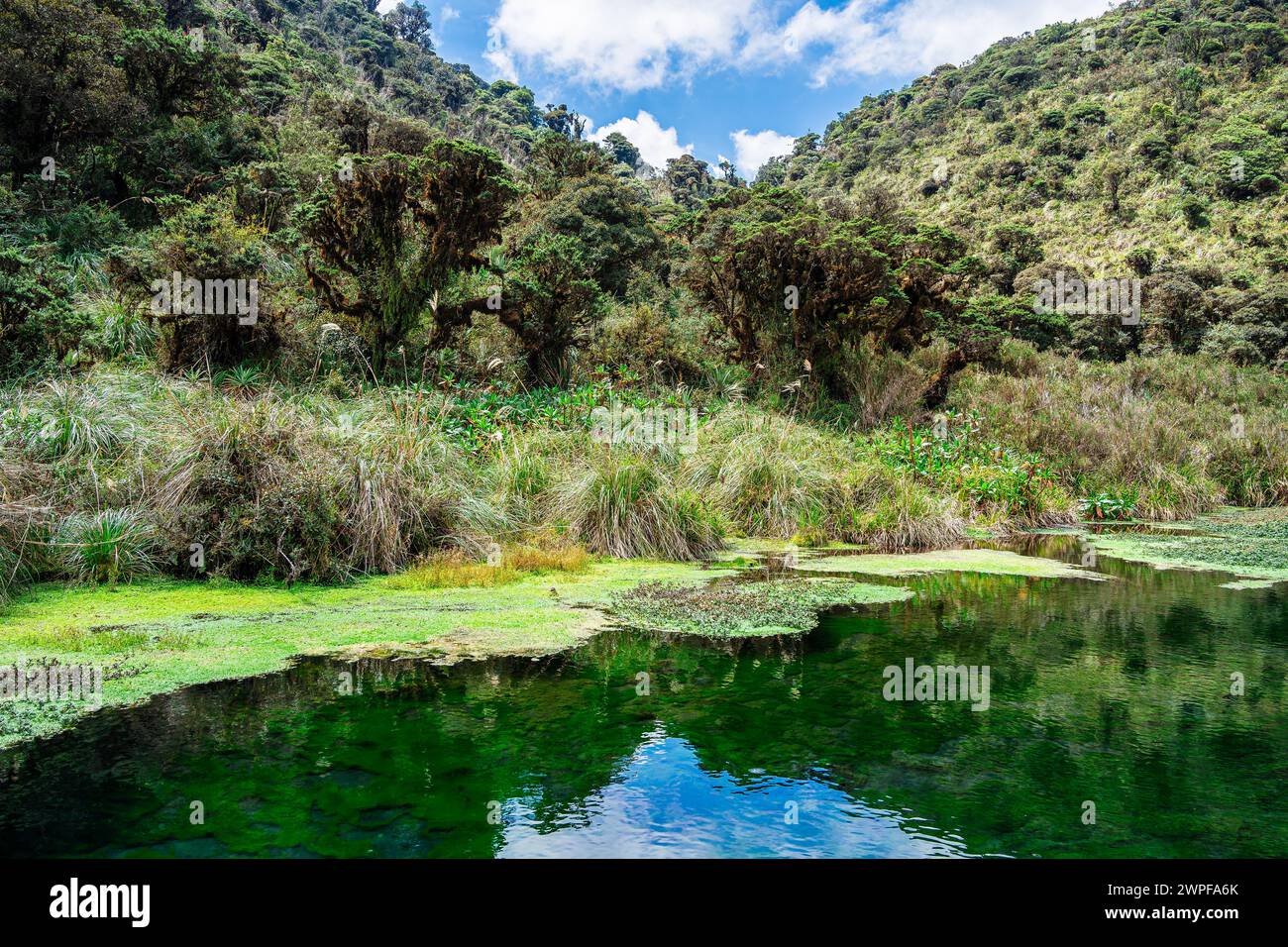 Puracé National Park, Cauca, Colombia Stock Photo - Alamy