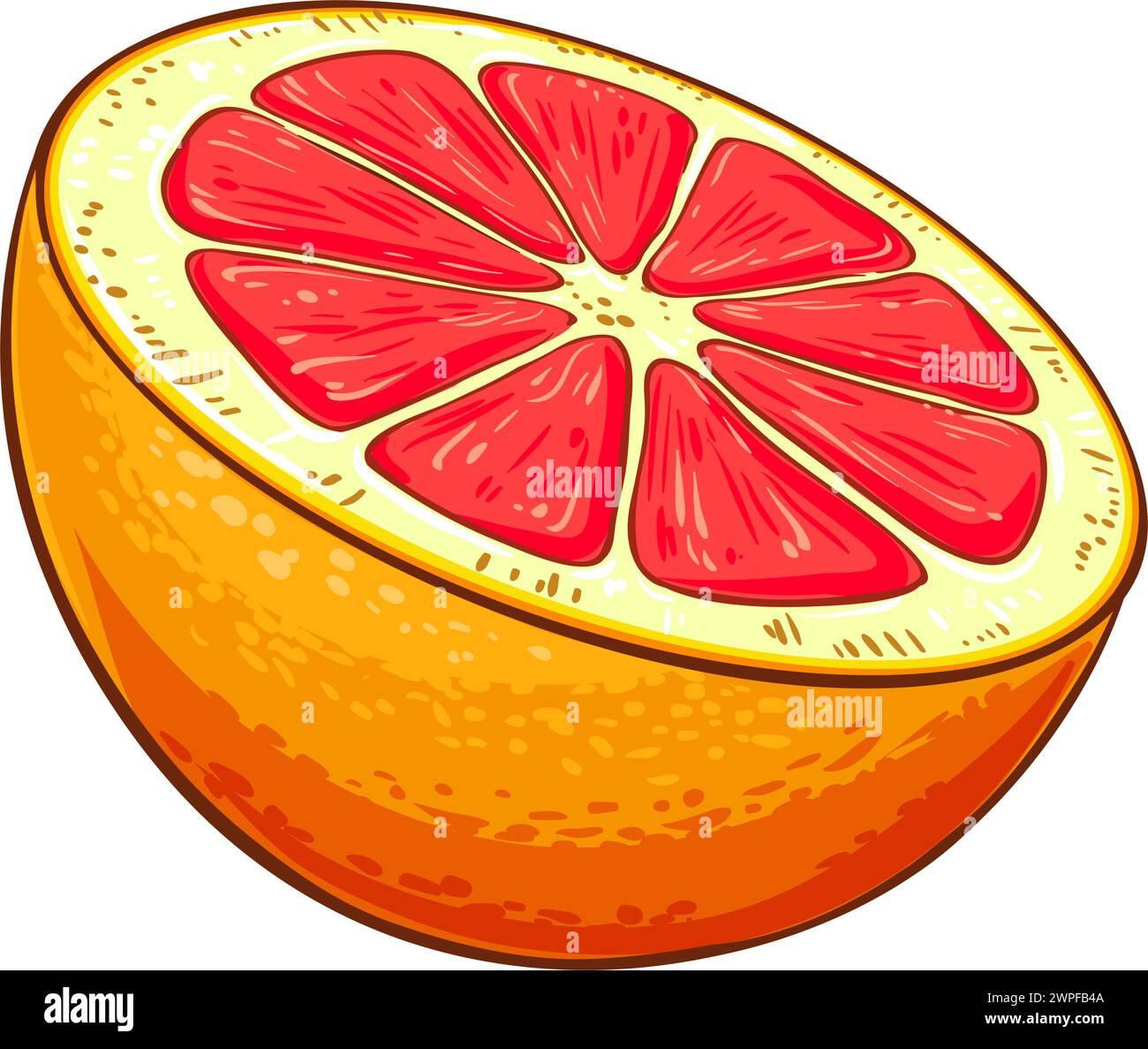Grapefruit Fruit Colored Detailed Illustration Stock Vector Image & Art ... Grapefruit Fruit Colored Detailed Illustration Stock Vector Image & Art ...