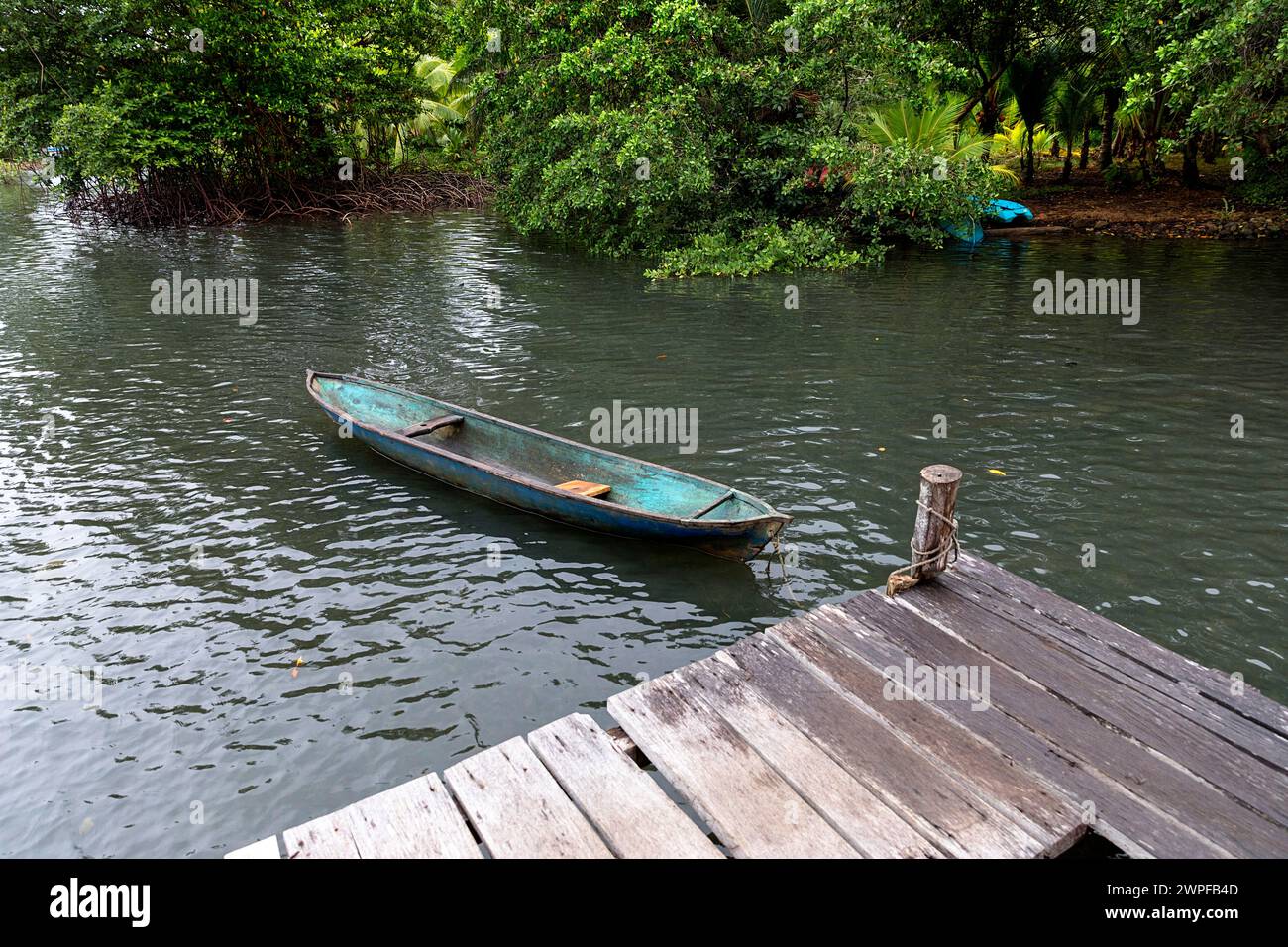 Wooden dugout canoe paddle hi-res stock photography and images - Alamy