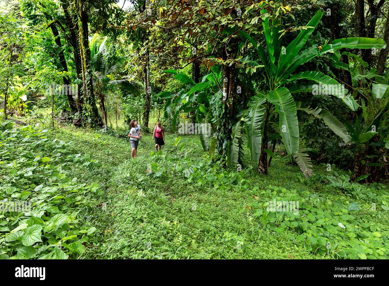 Mother and son, tourists, exploring tropical forest of a san cristobal ...