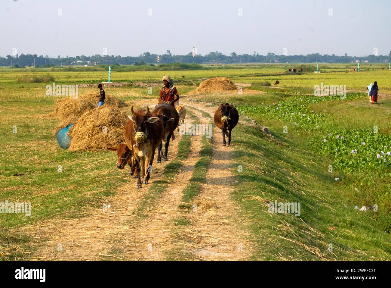 Bangladesh labour 2023 hi-res stock photography and images - Alamy
