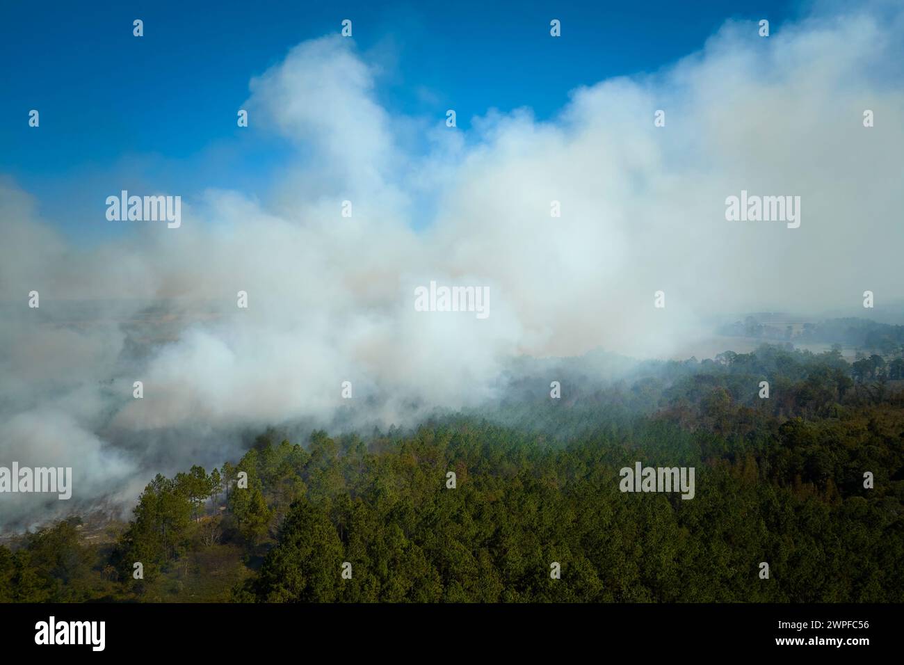 Aerial view of white smoke from forest fire rising up polluting ...