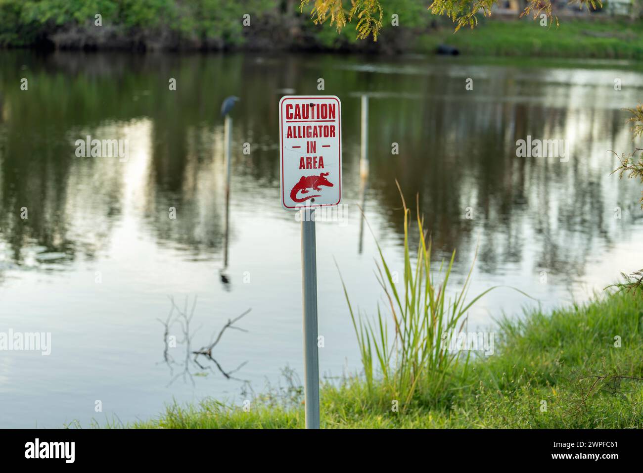 Alligator danger warning signpost in Florida waterfront park about ...