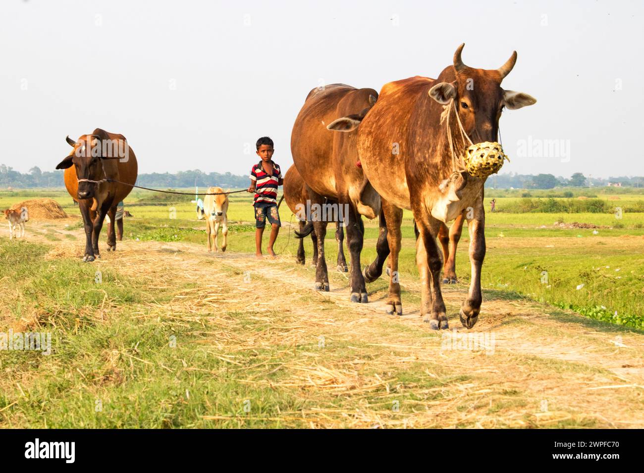 Child work bangladesh hi-res stock photography and images - Alamy