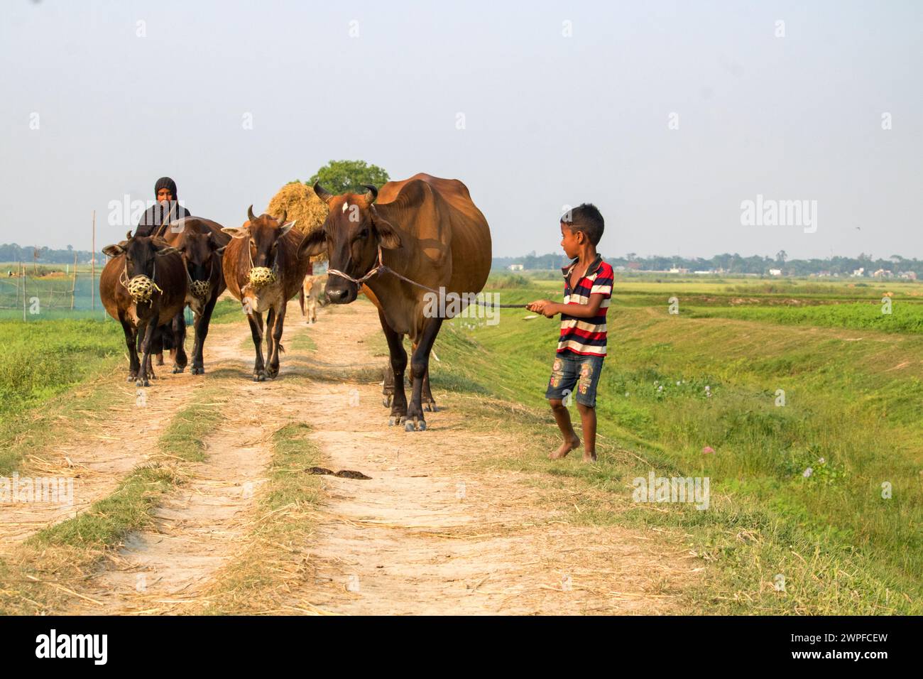 Village scene in rural bangladesh hi-res stock photography and images - Alamy