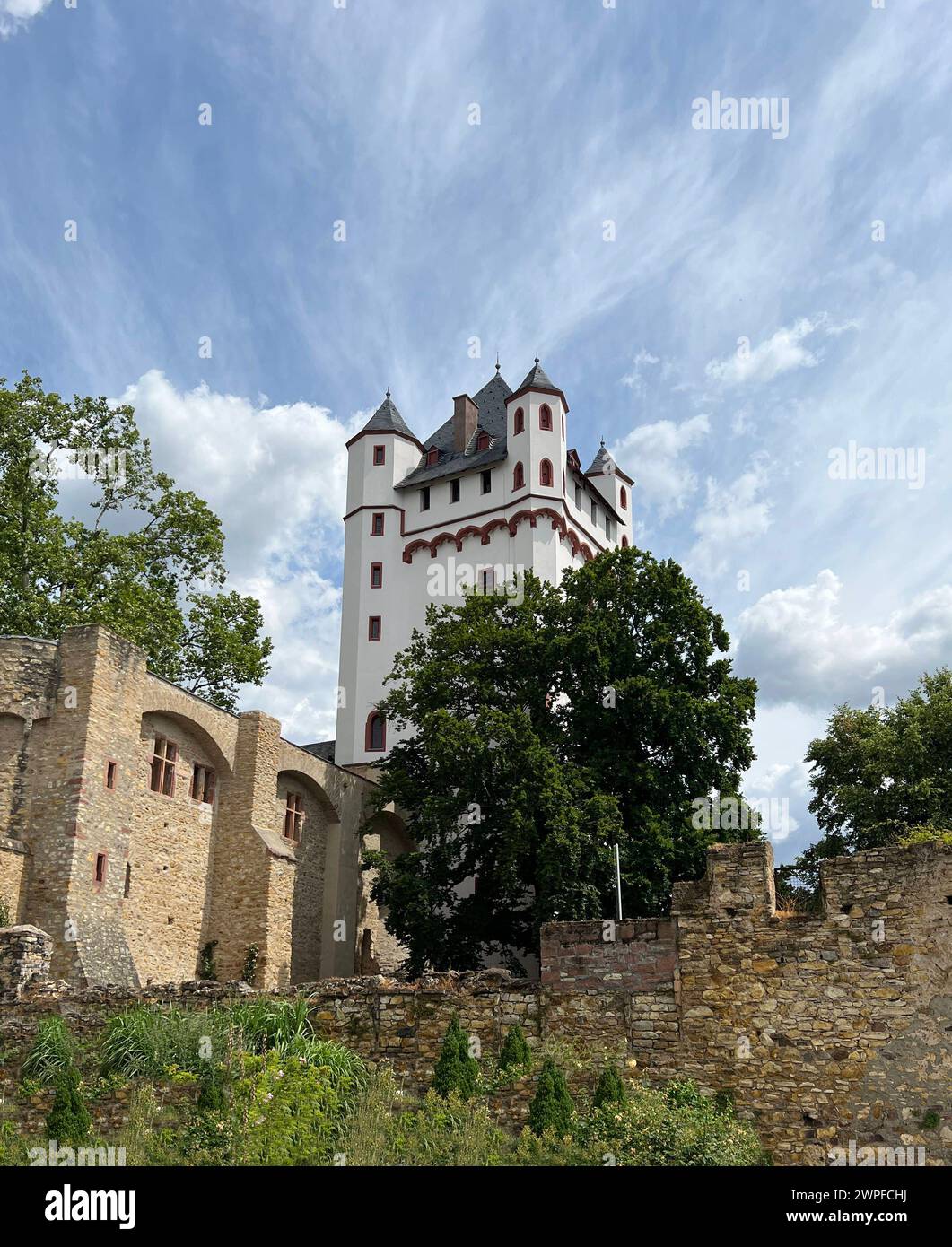 Die Kurfuerstliche Burg ist eine Stadtburg in Eltville am Rhein im ...