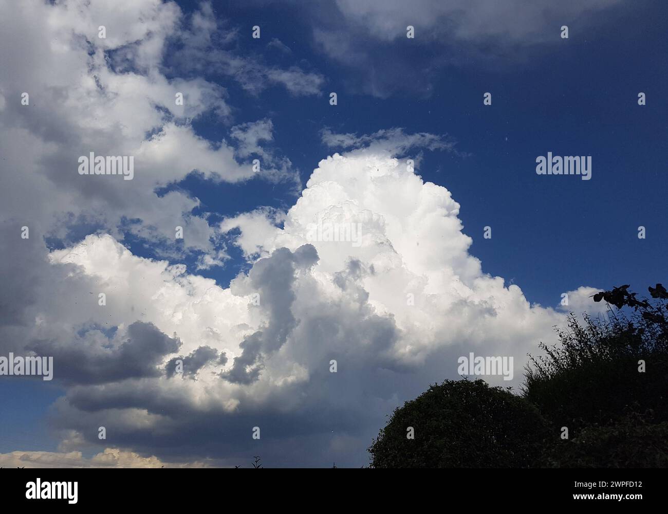 Haufenwolke, Quellwolke, Cumulus, humilis Heap of cloud, cumulus ...