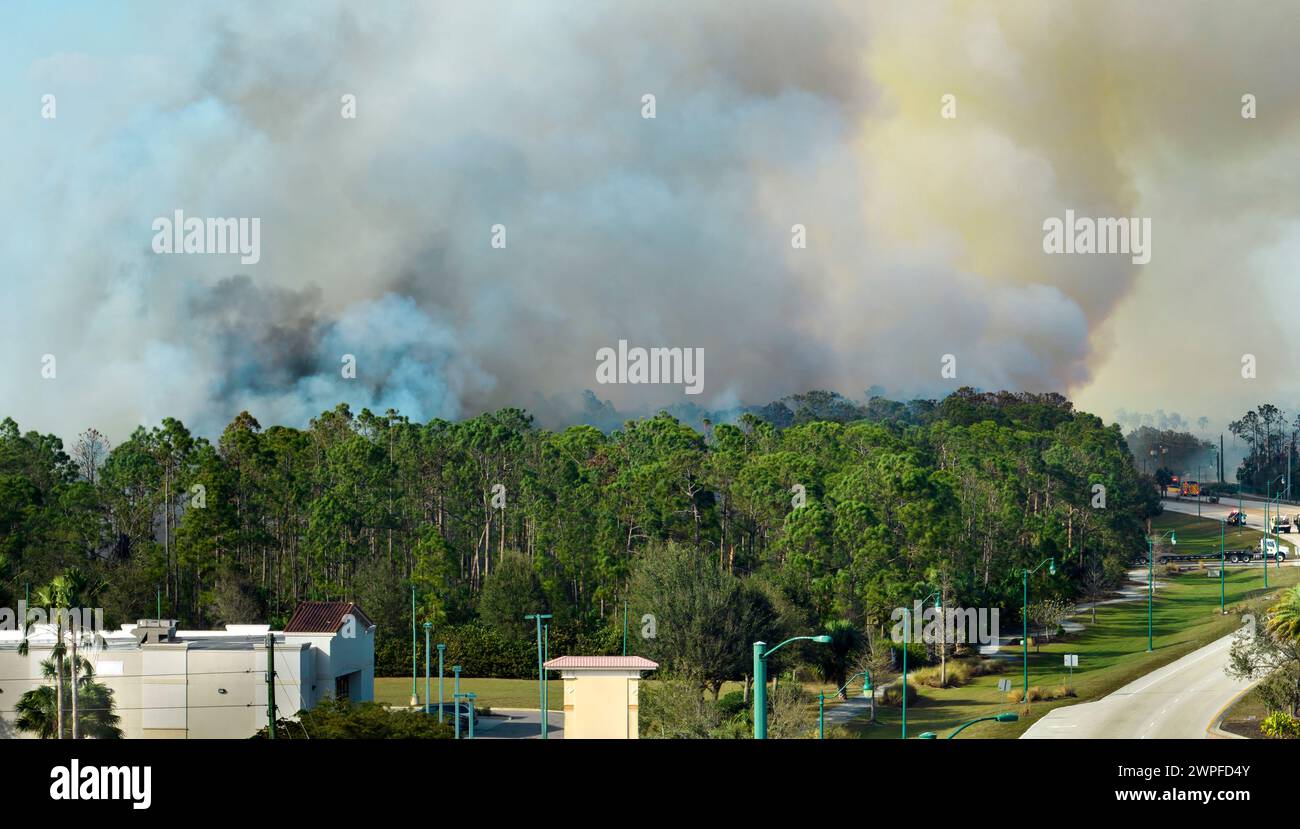 Emergency service firetrucks extinguishing wildfire burning in Florida ...