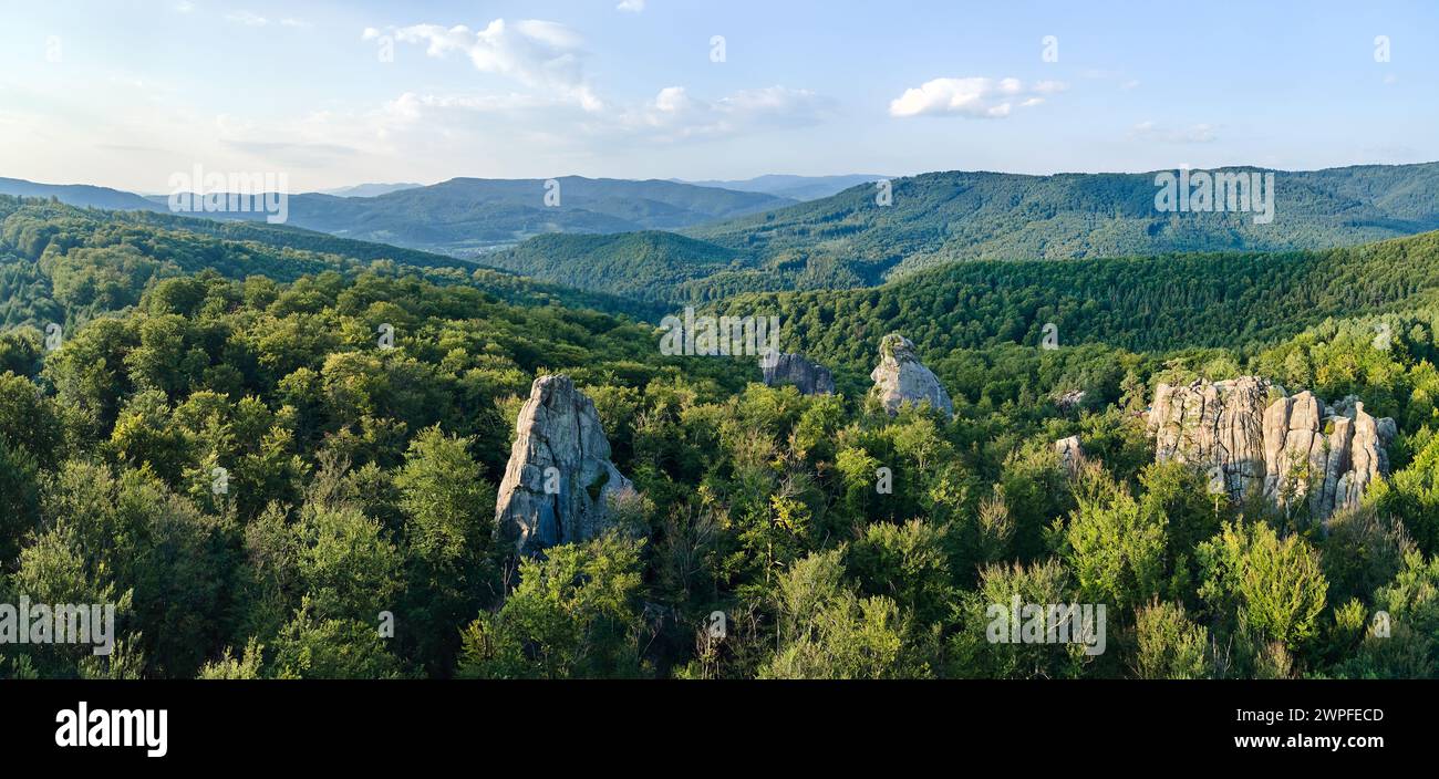 Panoramic view of bright landscape with green forest trees and big ...