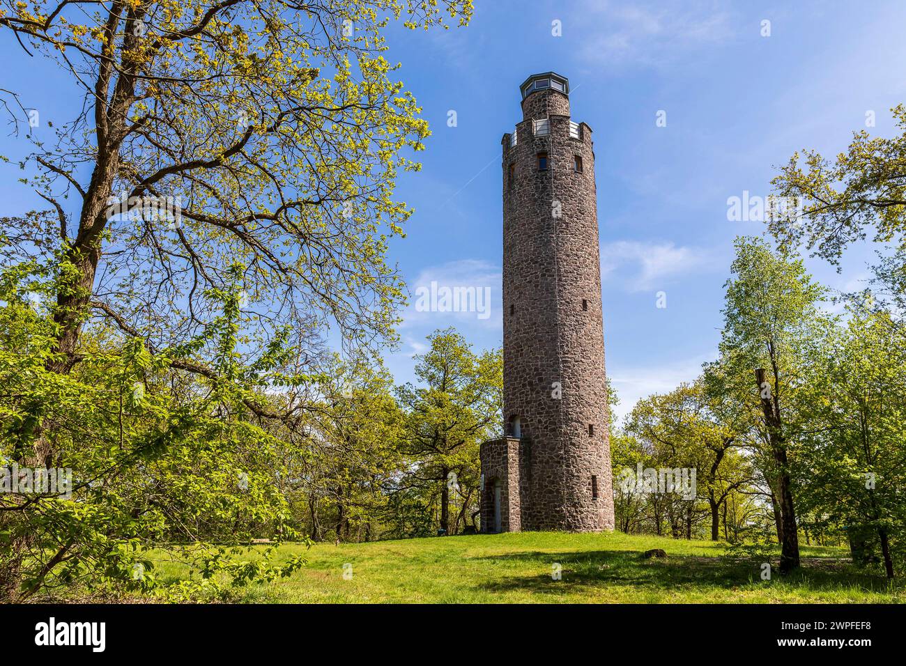 Luftbild der Ortschaft mit Schloss, Schlosspark und Schwanteich, Thammenhain, Landkreis Leipzig ...