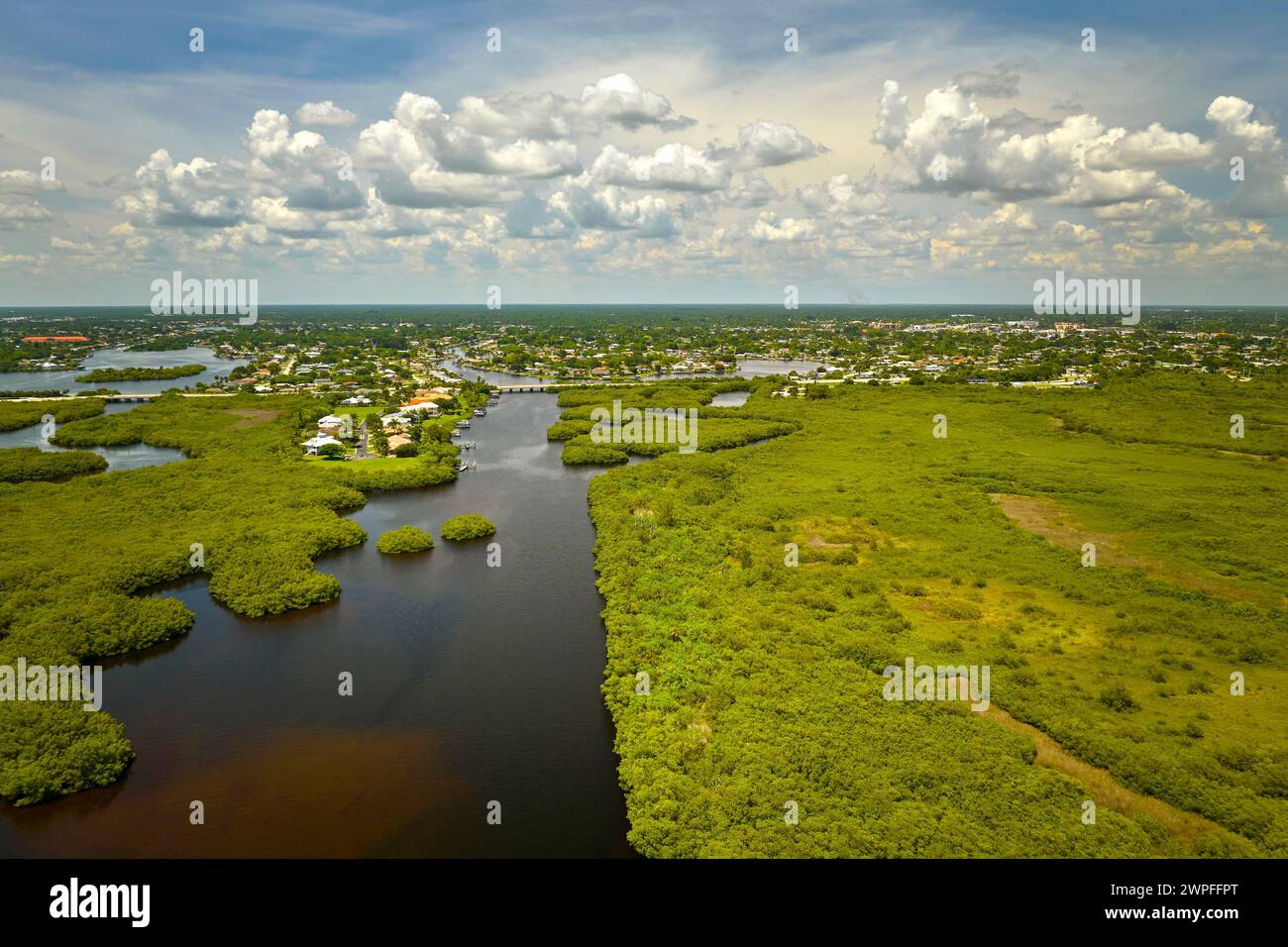 View from above of Florida everglades with green vegetation between ...