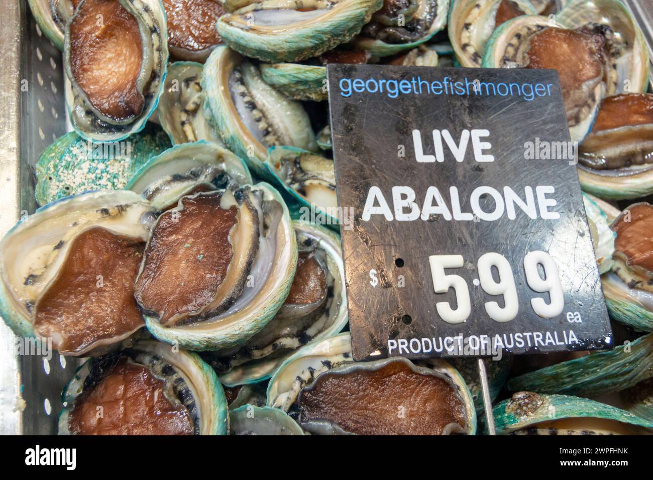 Melbourne, Australia, Feb 2018 - A market stall display of live abalone ...
