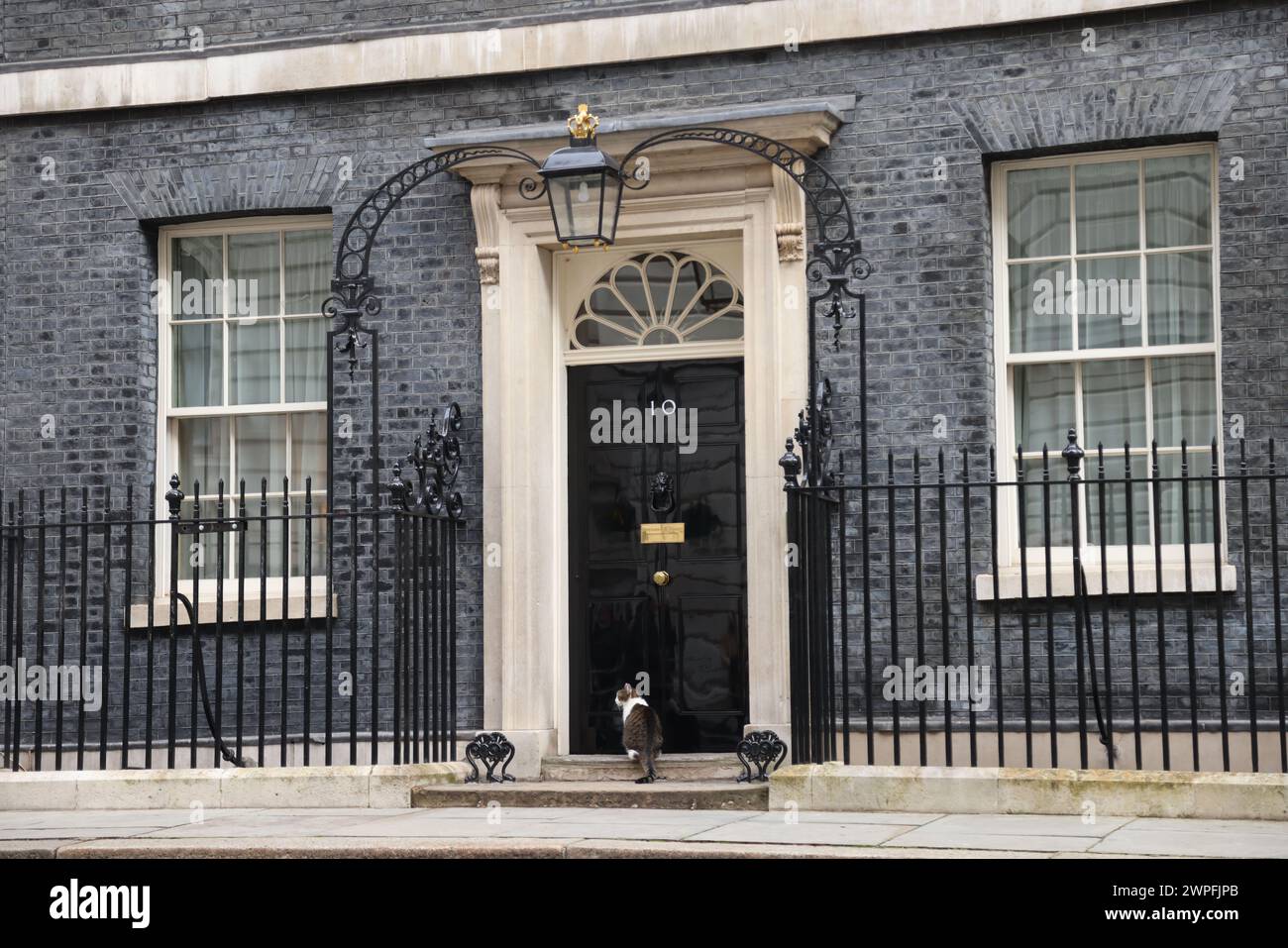 London, UK. 06th Mar, 2024. Larry the cat outside Number 10 Downing ...