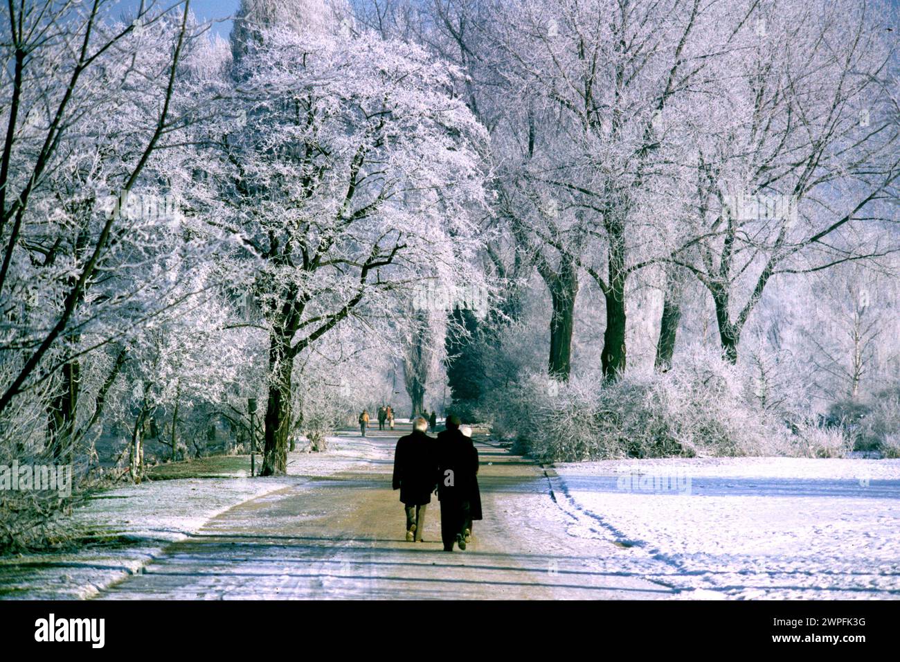 People walking through the Rhinepark in the snow in 1982, Cologne ...