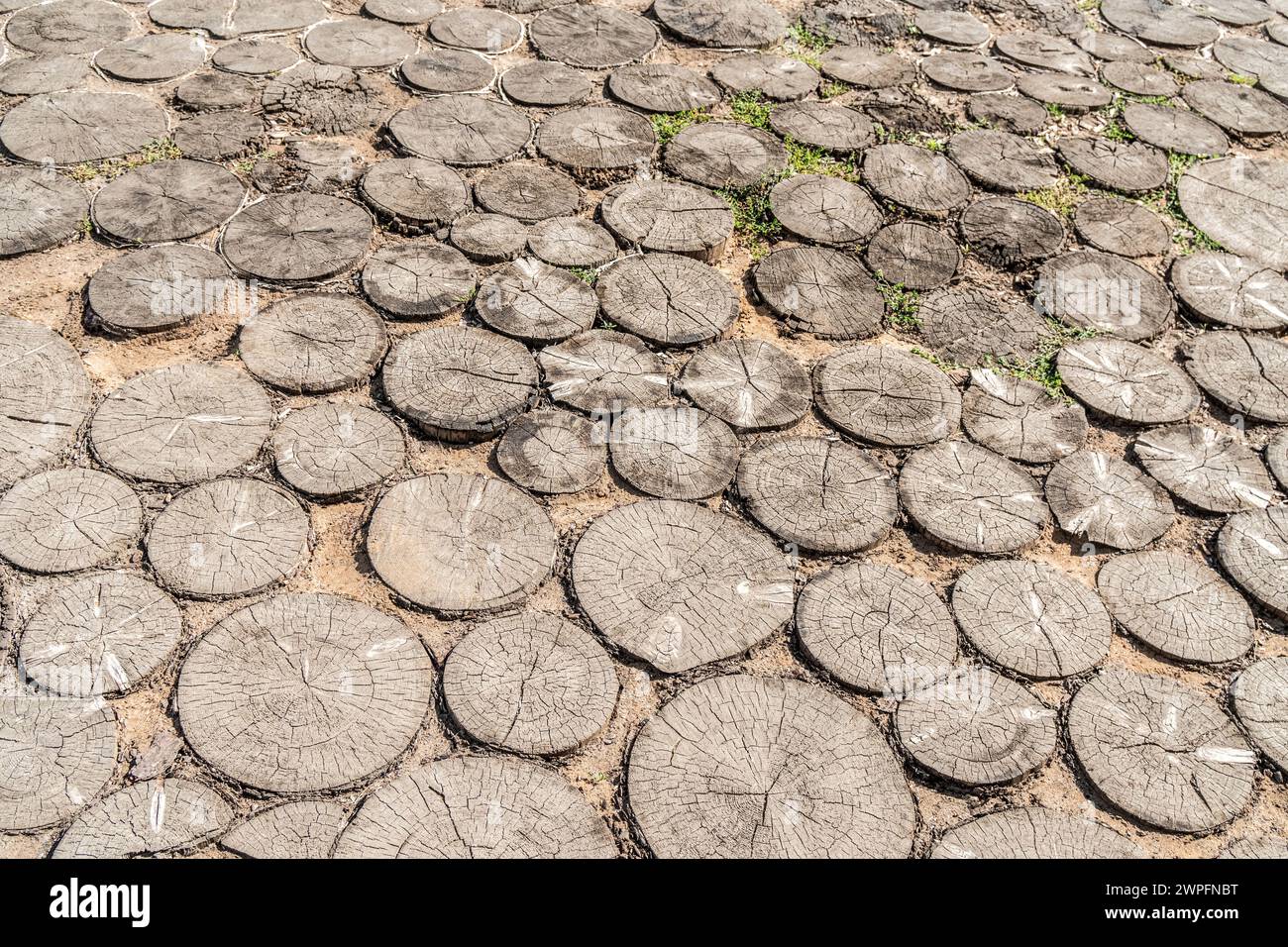 Round shape tiles design hi-res stock photography and images - Alamy