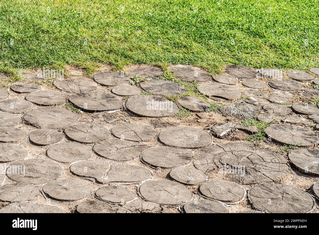 Square covered with old paving stones made of cut pine logs in garden ...