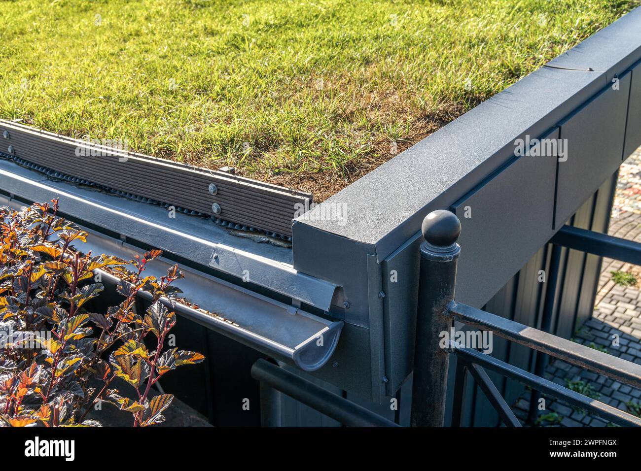 Guest house with metal standing seam facade and lawn on flat roof on ...