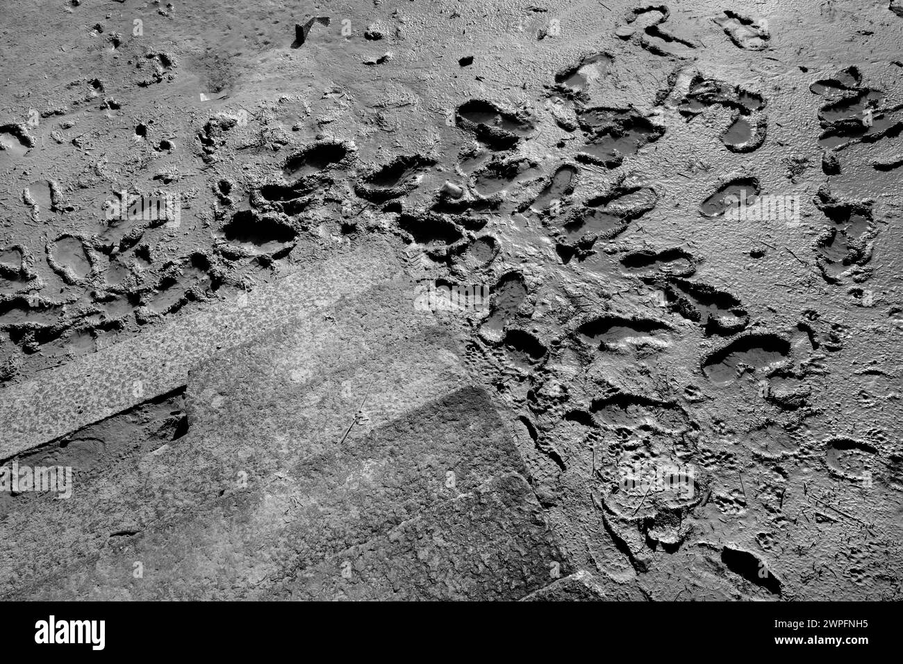Monochrome shot in strong sunlight of concrete steps and footprints in ...