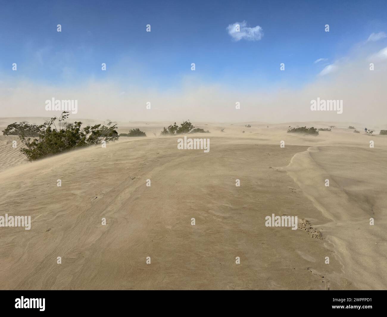 Sandstorm at Mesquite Flat Dunes, Death Valley, with windy conditions ...