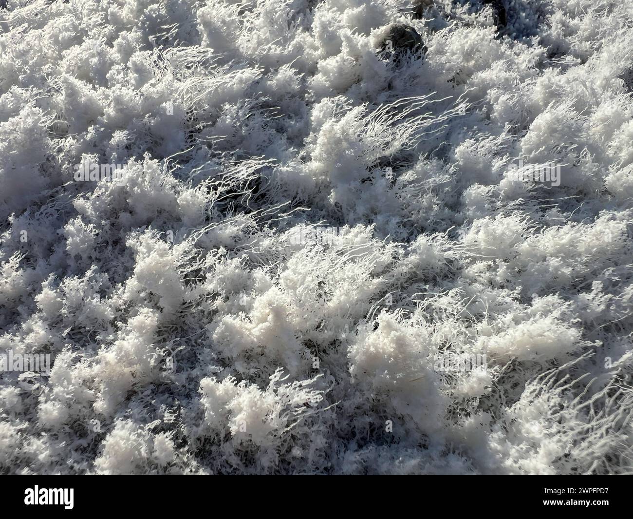 The Salt crystals along the shore of Lake Manly at Badwater Basin in ...