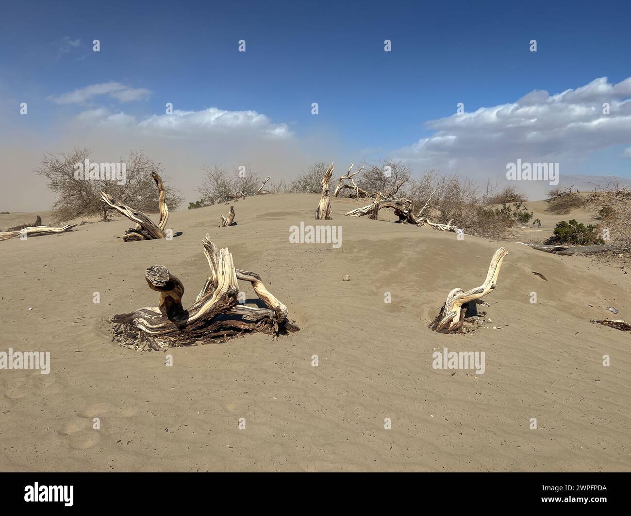 Sandstorm at Mesquite Flat Dunes, Death Valley, with windy conditions ...