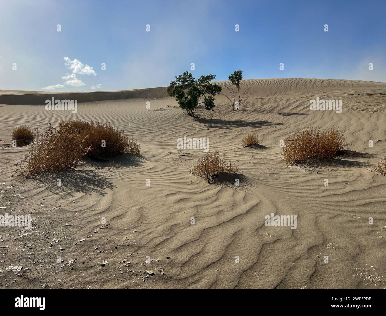 Sandstorm at Mesquite Flat Dunes, Death Valley, with windy conditions ...