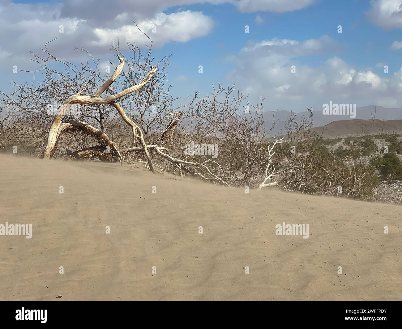 Sandstorm at Mesquite Flat Dunes, Death Valley, with windy conditions ...