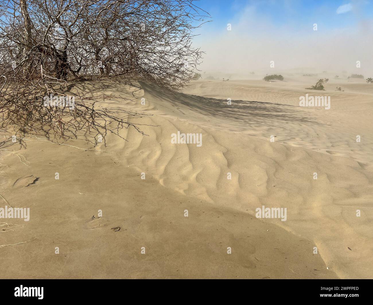 Sandstorm at Mesquite Flat Dunes, Death Valley, with windy conditions ...