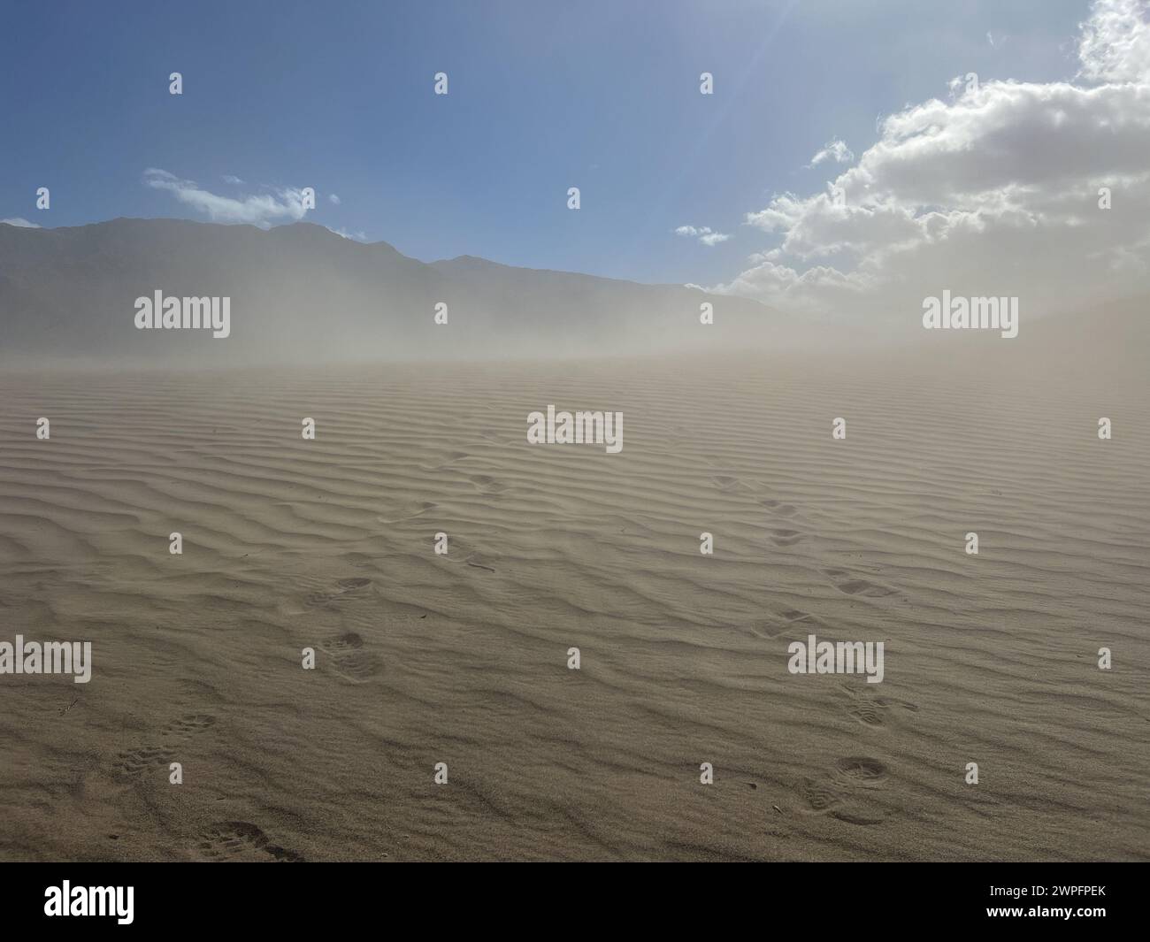 Sandstorm at Mesquite Flat Dunes, Death Valley, with windy conditions ...