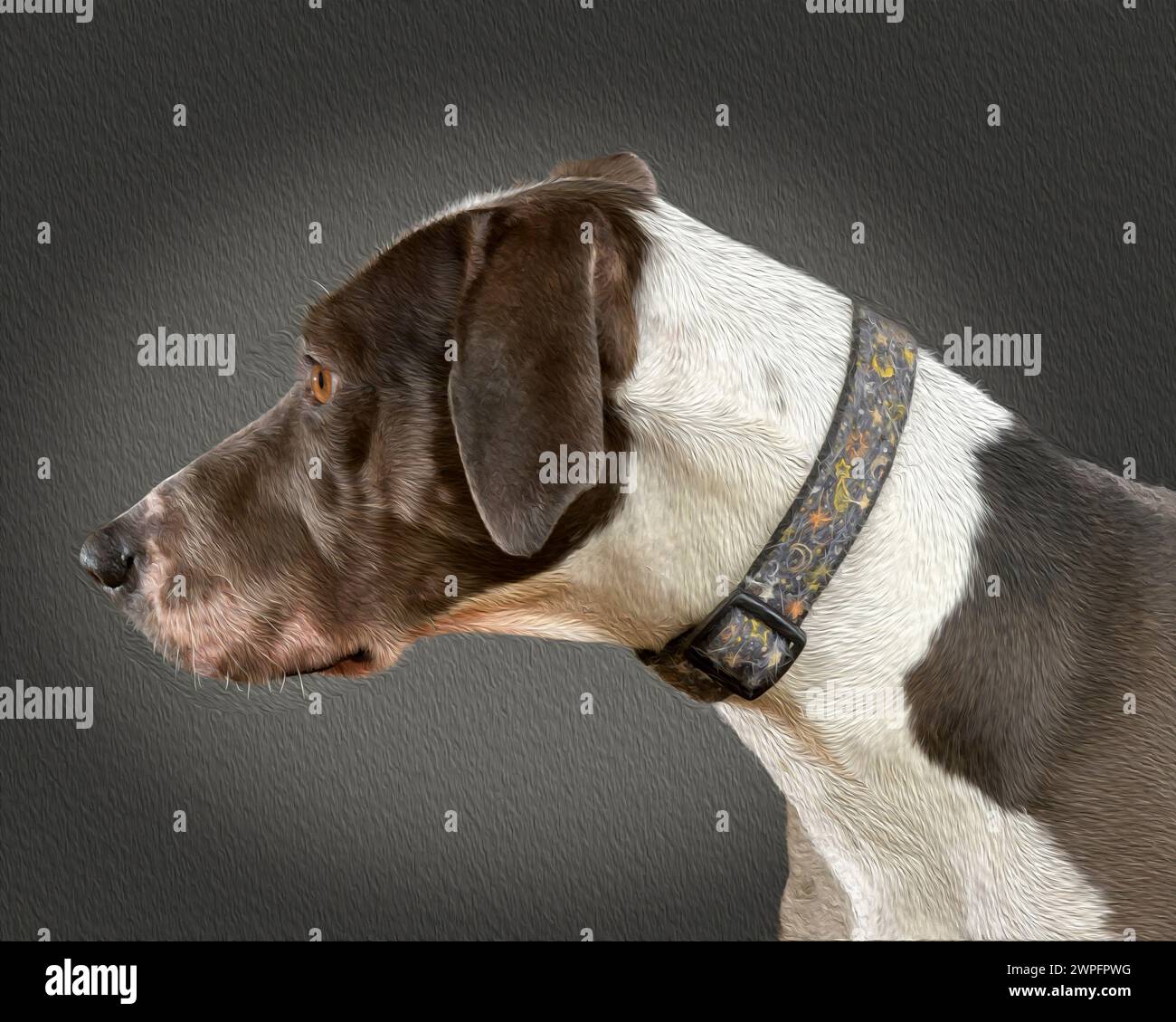 Face and shoulders hi-res stock photography and images - Alamy