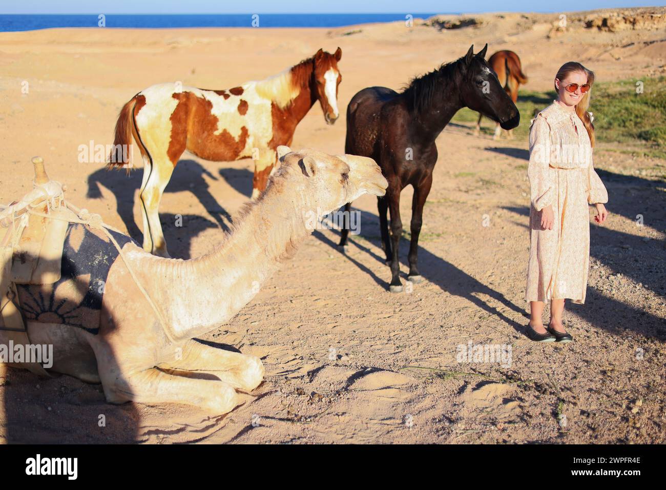 a girl in a beautiful dress, followed by two horses and a camel in the ...