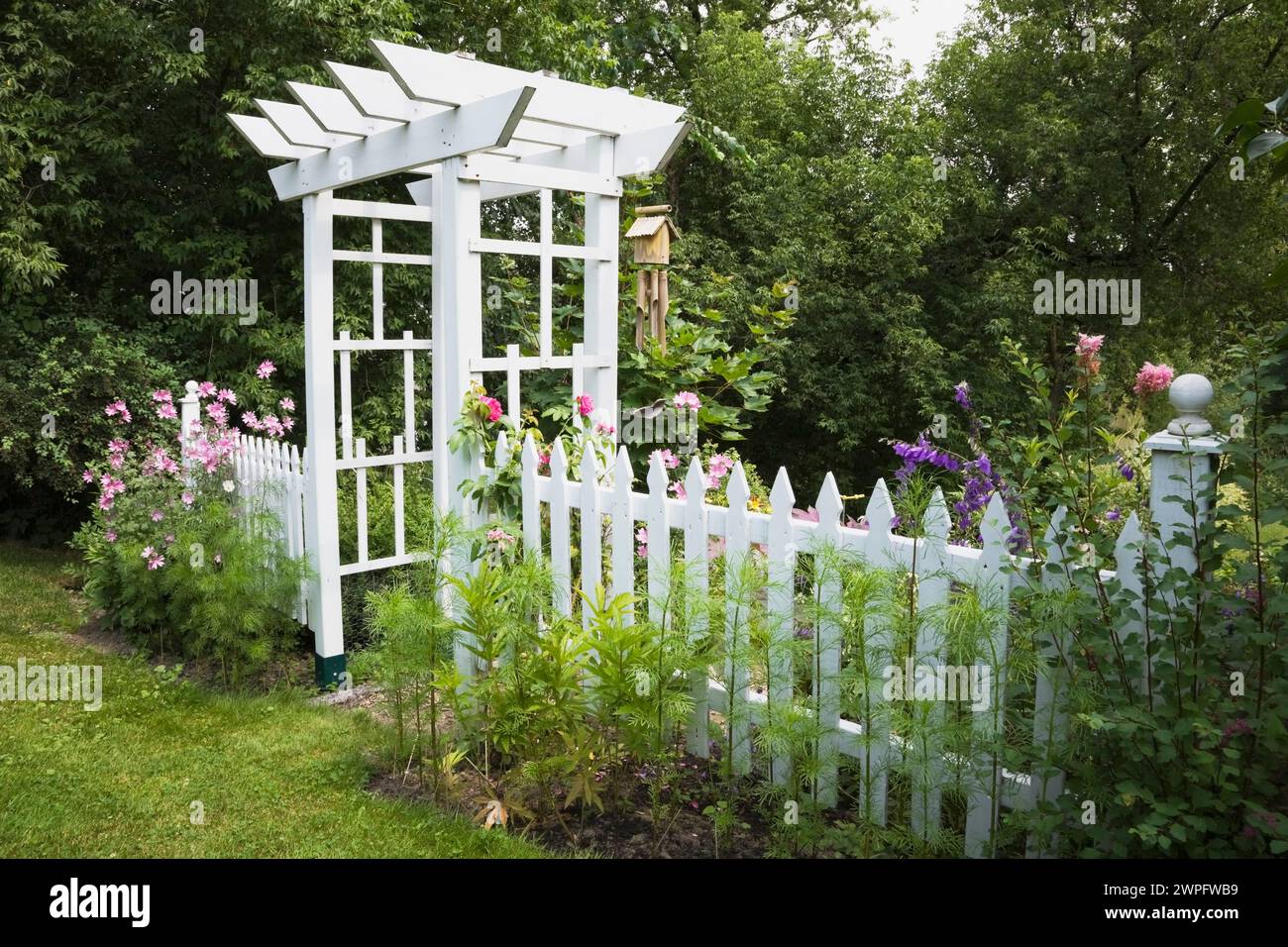 White mallow border hi-res stock photography and images - Alamy