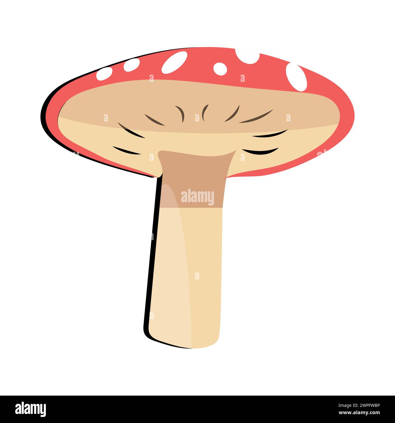 Mushroom flat design cartoon different mushrooms vector illustration ...