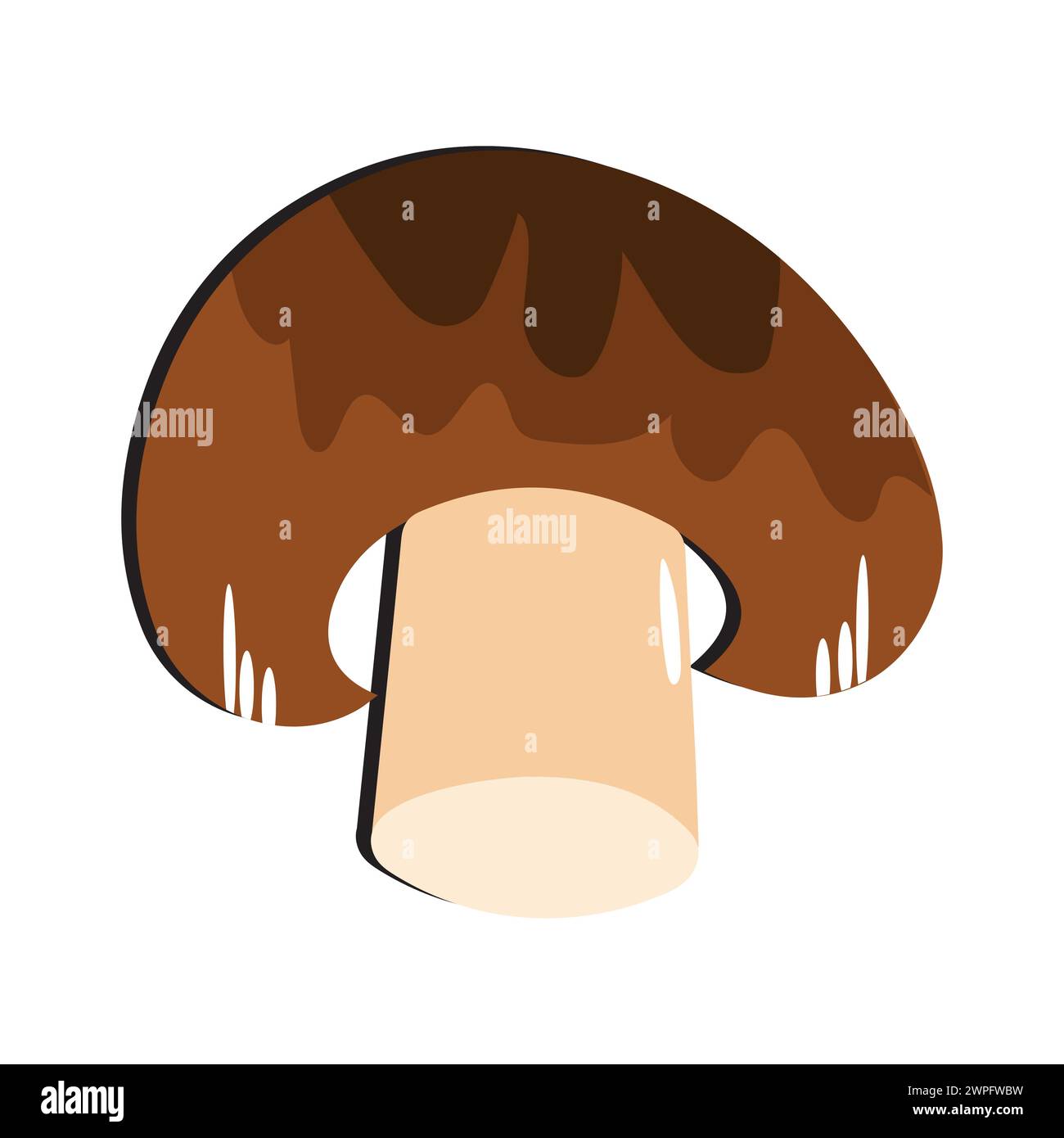 Mushroom flat design cartoon different mushrooms vector illustration ...