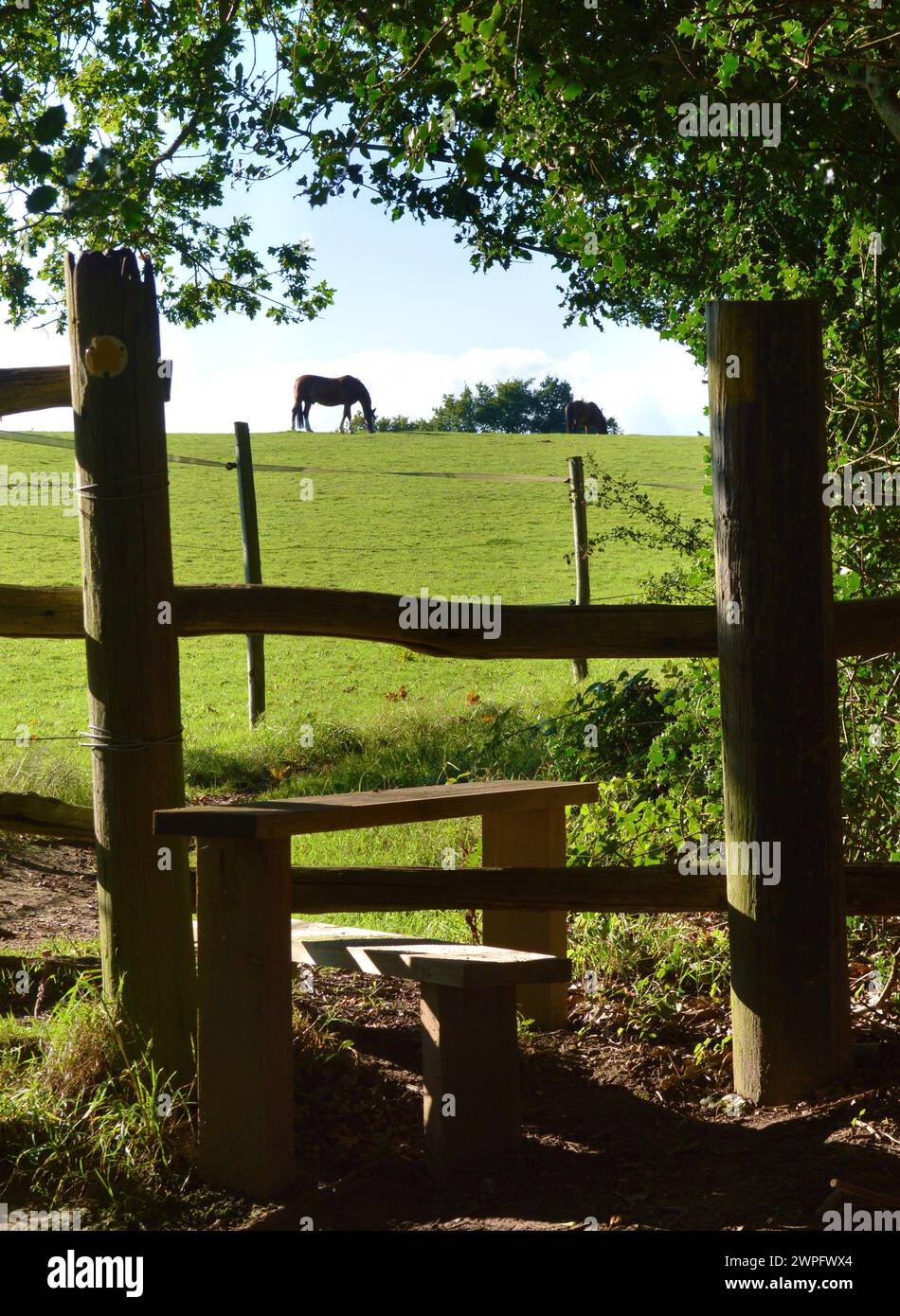 Matfield kent hi-res stock photography and images - Alamy