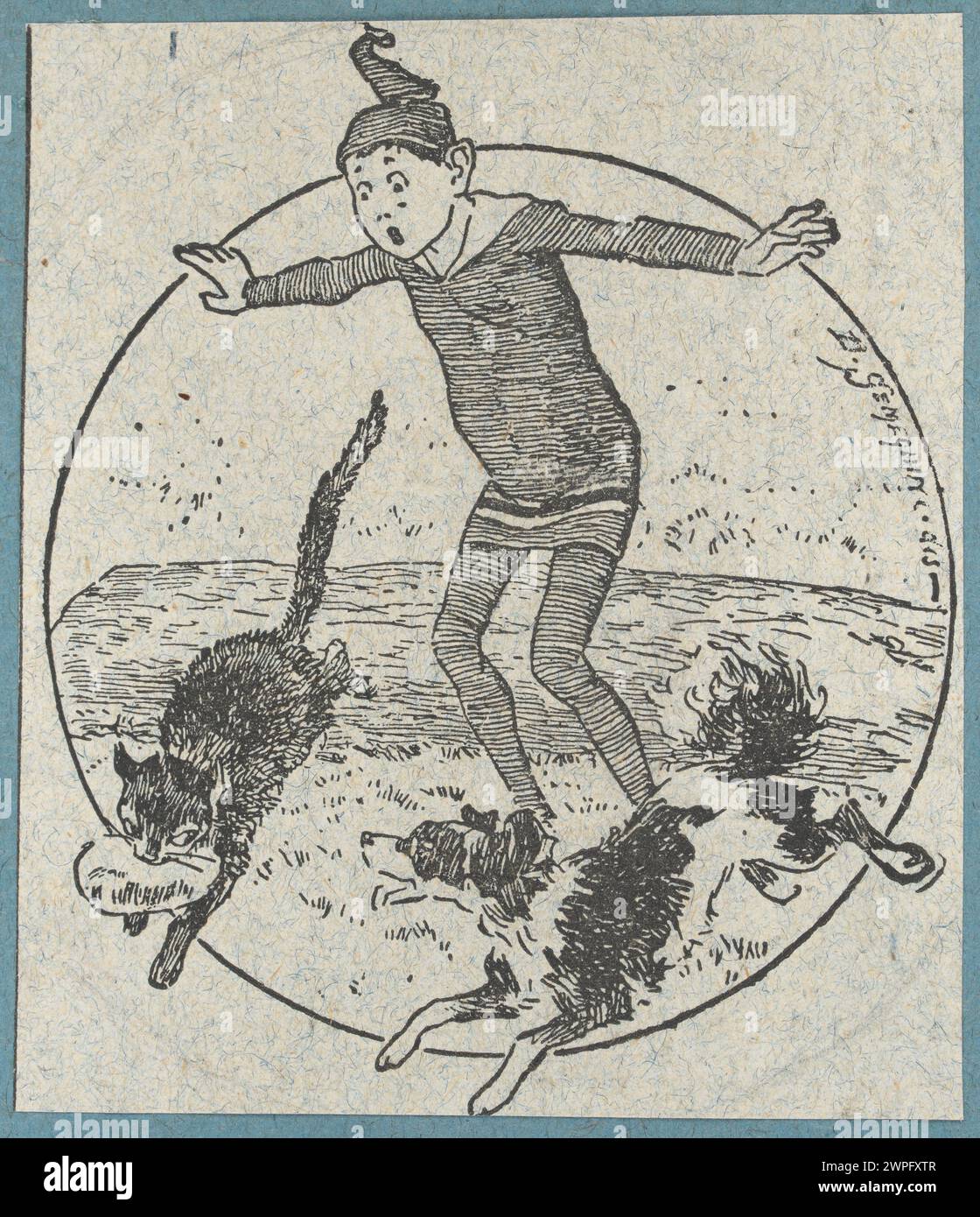 Dog chasing cat hi-res stock photography and images - Alamy