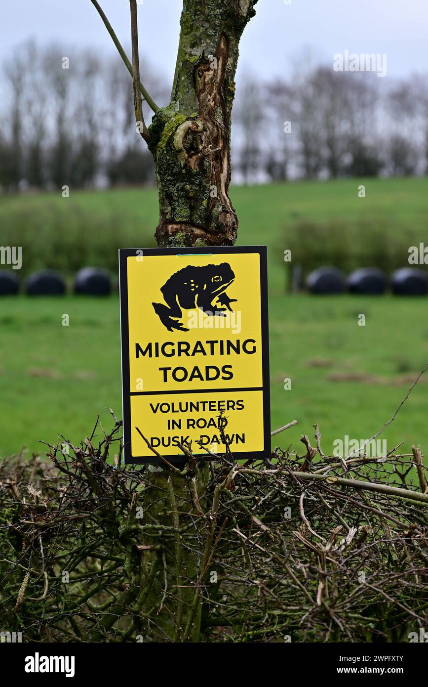 Around the UK- Toad migration route sign Stock Photo - Alamy
