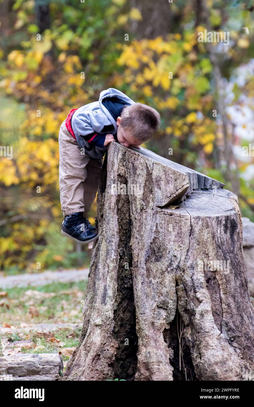 This is a cute, adorable, adventurous, energetic young boy trying to ...