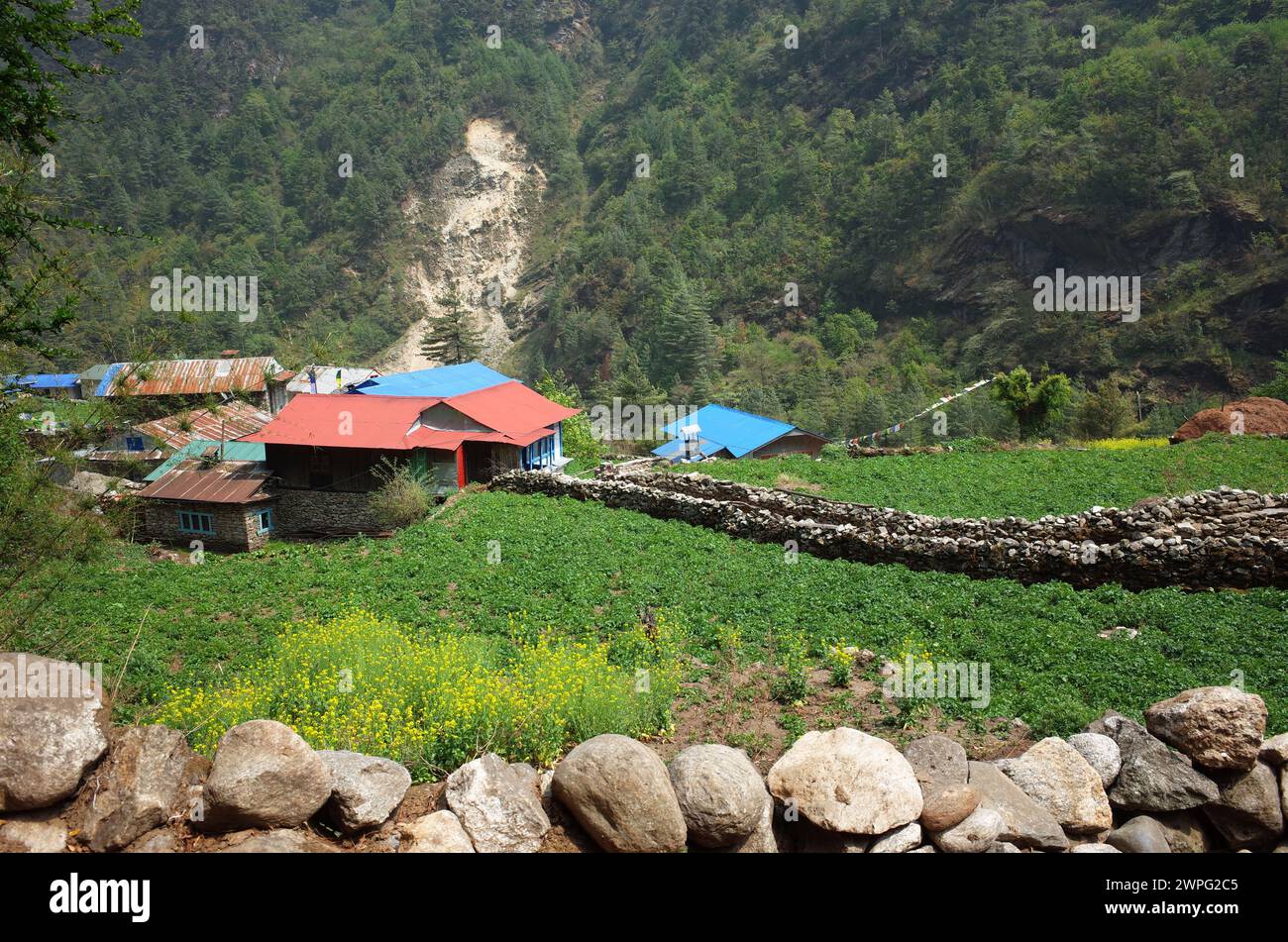 Small mountain village and potato field near Toktok on the way to ...