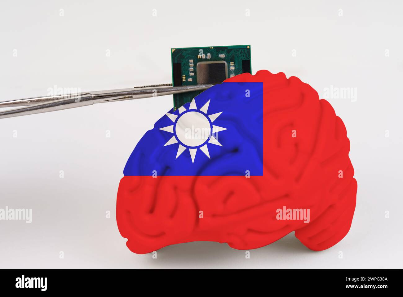 On a white background, a model of the brain with a picture of a flag ...