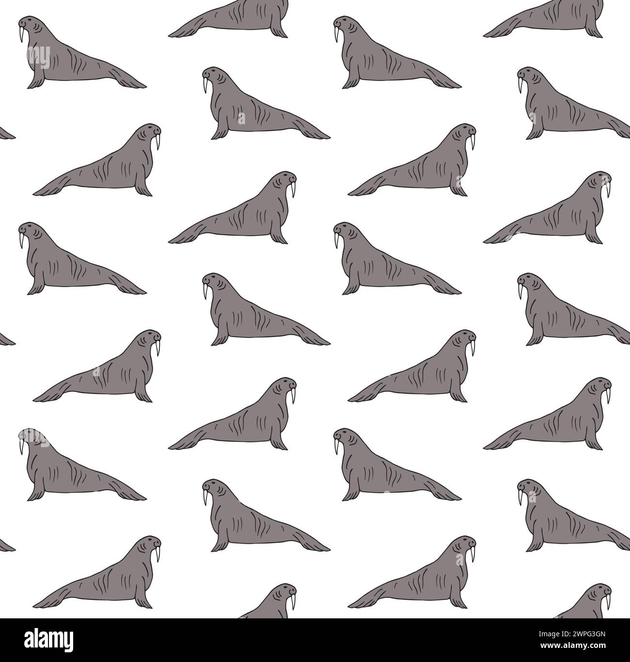 Vector seamless pattern of hand drawn walrus Stock Vector Image & Art ...