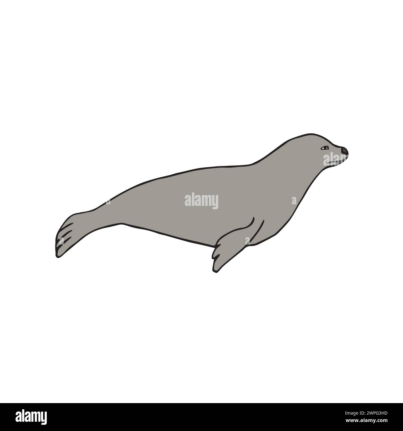 Vector hand drawn doodle sketch colored seal Stock Vector Image & Art ...