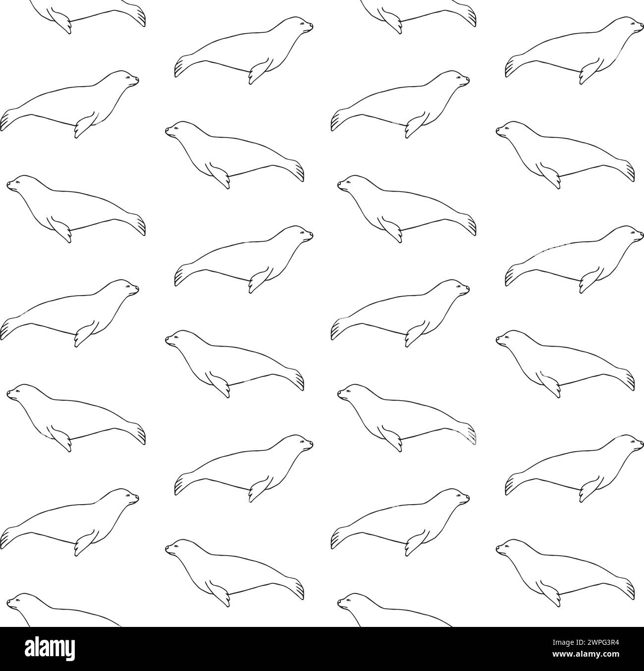 Vector seamless pattern of hand drawn seal Stock Vector Image & Art - Alamy