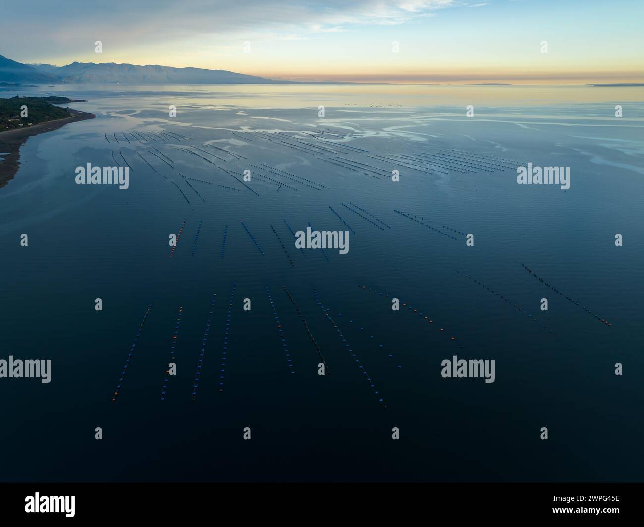 Aerial of mussel aquaculture hi-res stock photography and images - Alamy